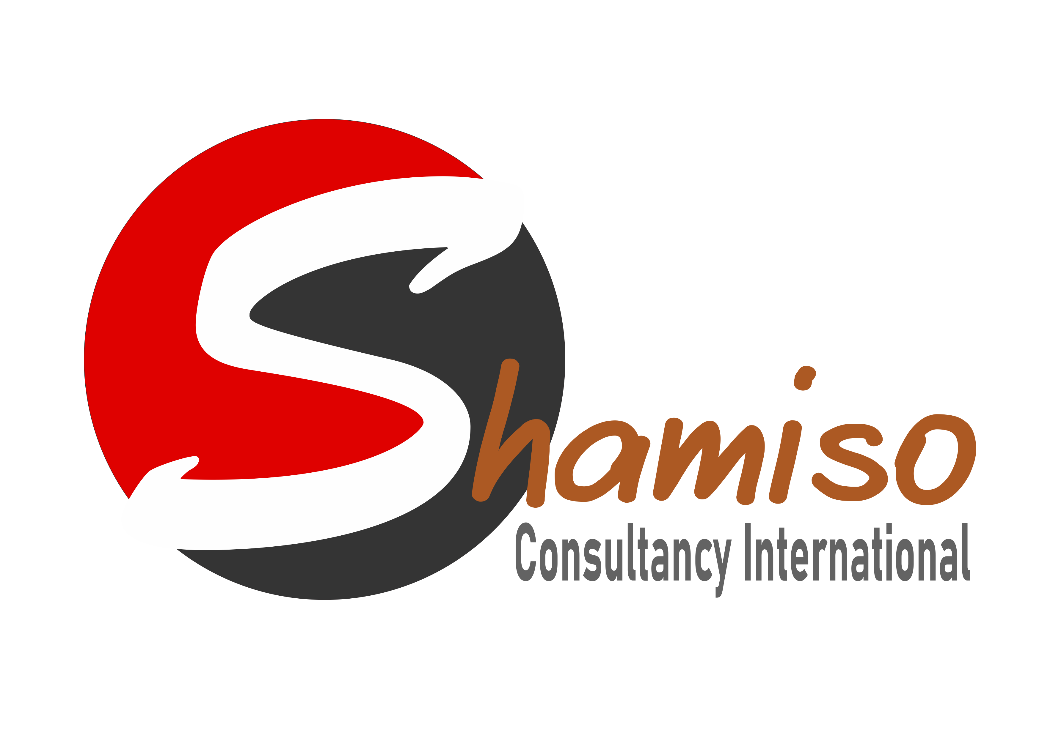 Shamiso Consultancy – Creating wealth and adding value to people ...